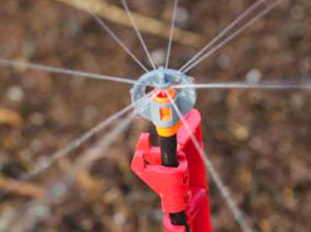 Naan Dan Jain RIVULIS - Bouchard Diffusion